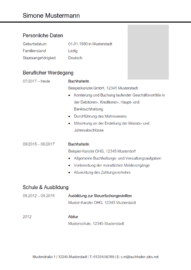 Lebenslauf Buchhalter / Buchhalterin: Vorlagen & Muster - Buchhalter-Jobs